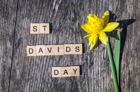5 facts about St David’s Day - Hope Blog