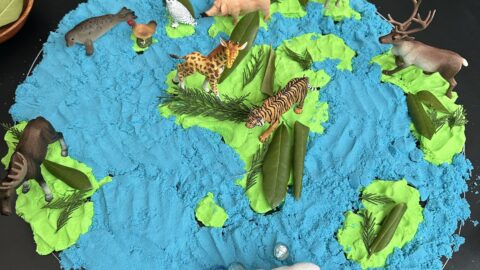 Earth Day Tuff Tray - Hope Blog